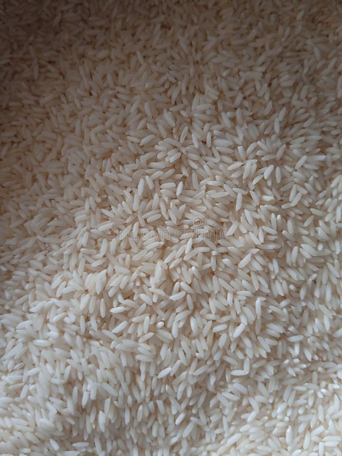 Wheat-produced rice stock image. Image of hard, farmer - 157328049