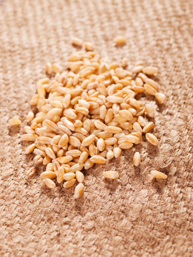 Raw Wheet Stock Photos - Free & Royalty-Free Stock Photos from Dreamstime