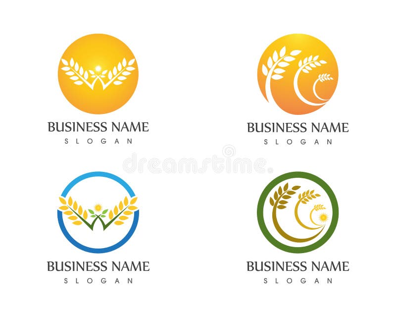 Wheat Rice Icon Logo Vector Illustration Stock Vector - Illustration of ...