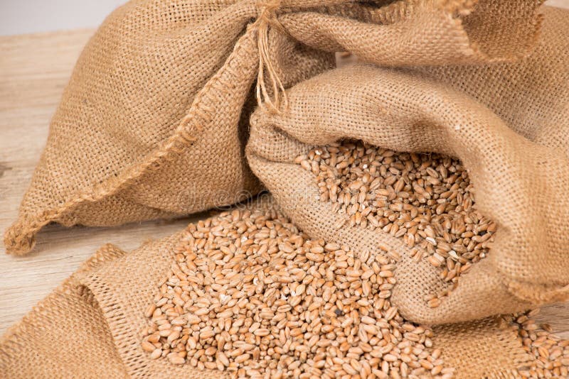 Wheat in a sack stock photo. Image of uncooked, ripe - 53069520