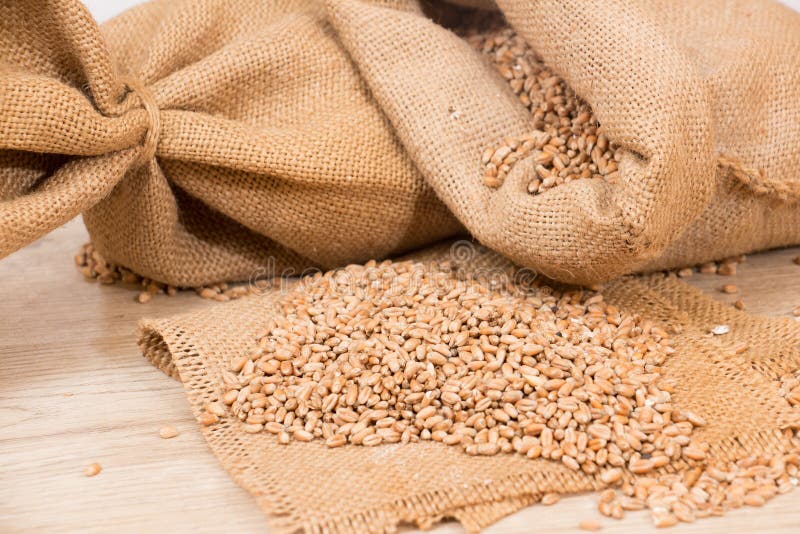 Wheat in a sack stock image. Image of seed, healthy, health - 53069549