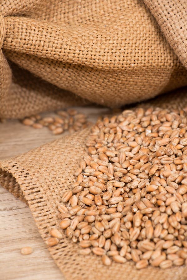 Wheat in a sack stock photo. Image of health, crop, corn - 53069560