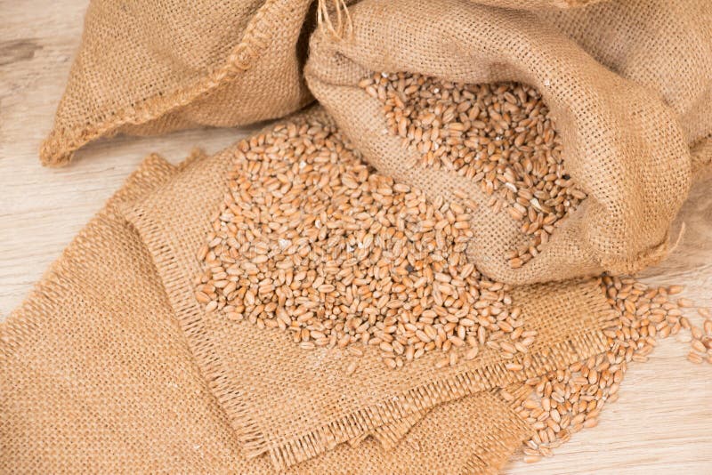 Wheat in a sack stock image. Image of food, ingredients - 53070405