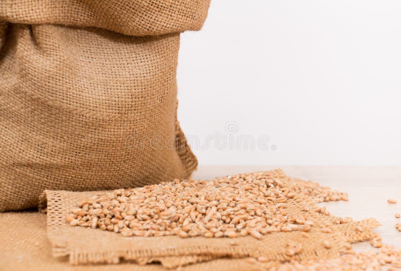 Wheat in a sack stock image. Image of healthy, cereal - 53096247