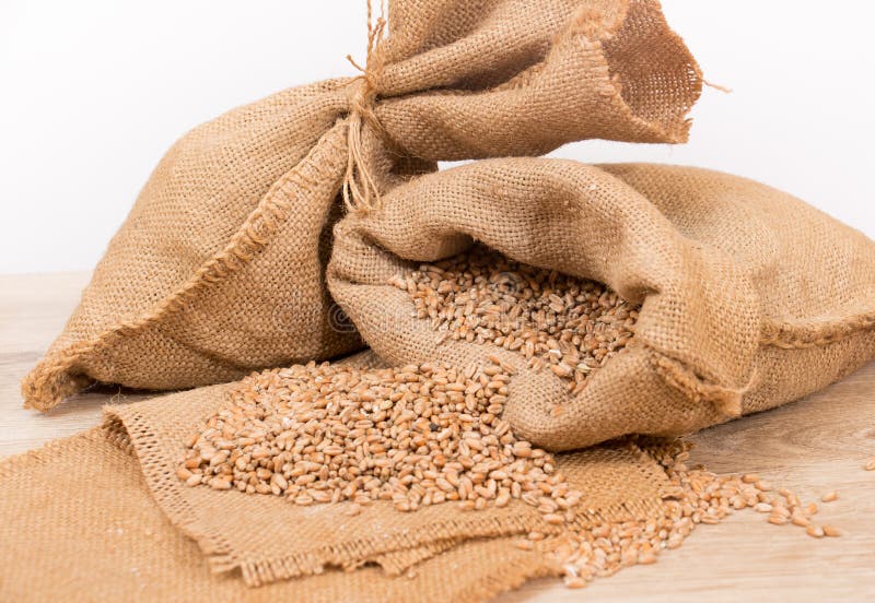 Wheat in a sack stock photo. Image of breads, still, crop - 53096240