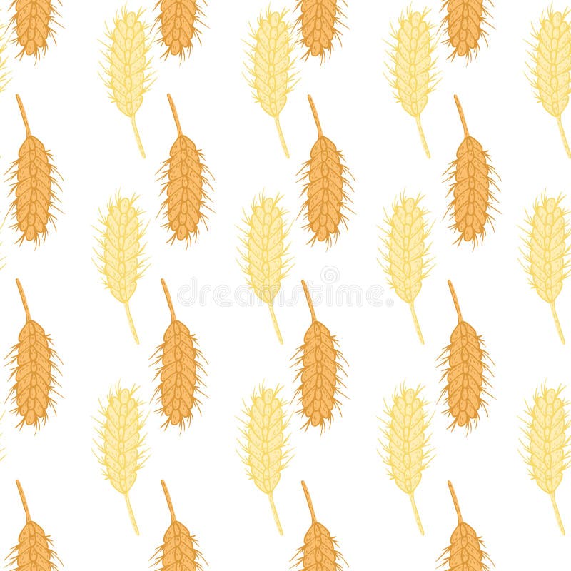 Wheat Seamless Pattern. Cereal Crop Sketch Stock Vector - Illustration ...