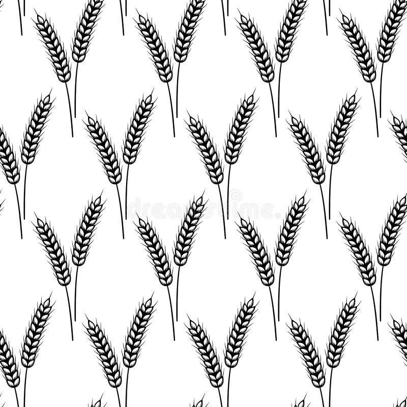 Wheat Seamless Pattern. Whole Grain, Natural, Organic Background for ...