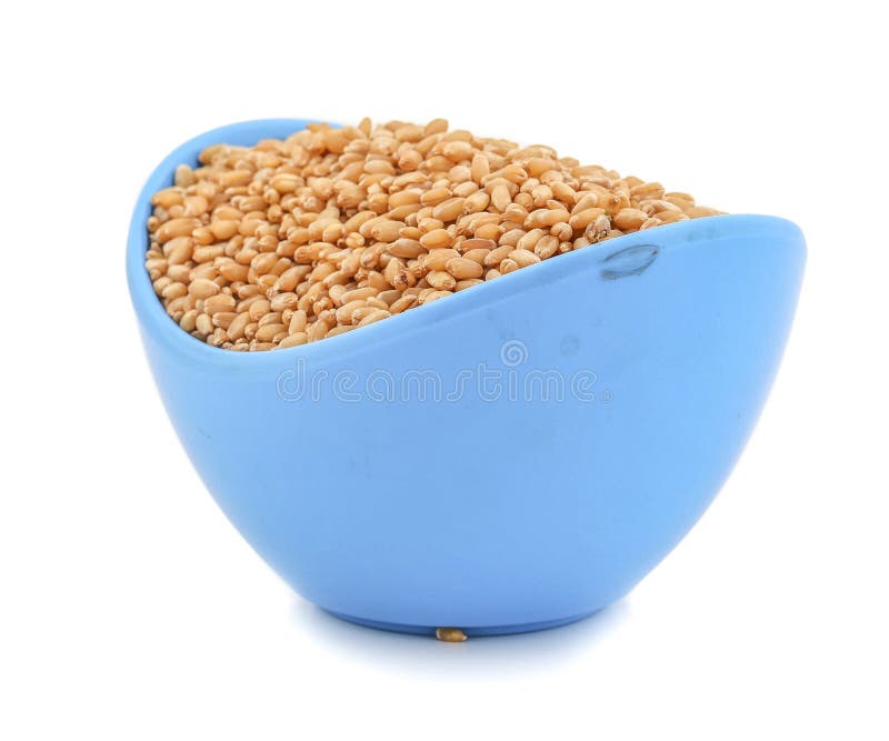 Wheat Seed stock photo. Image of grow, isolated, nature - 142690200