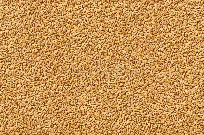 Wheat Texture Background