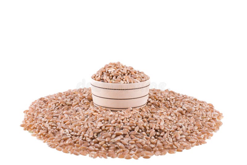 Wheat Seeds Close Up Macro Shot Stock Image - Image of farm, healthy ...