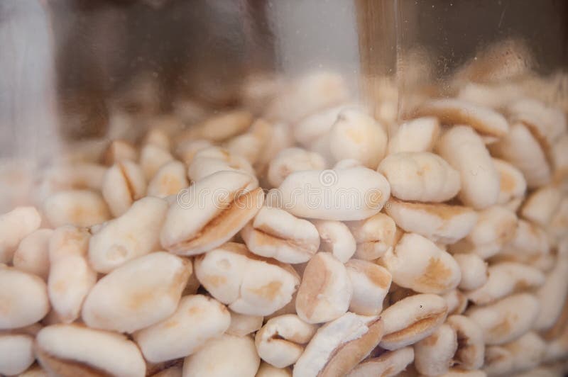 Wheat Seeds in Glass Container Stock Photo - Image of seed, grain ...