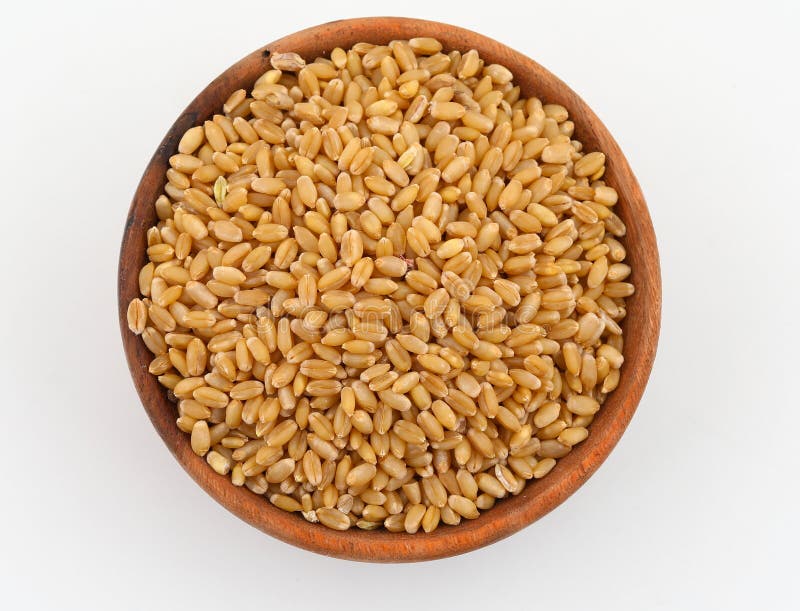 Wheat seeds stock image. Image of food, closeup, india - 117023545