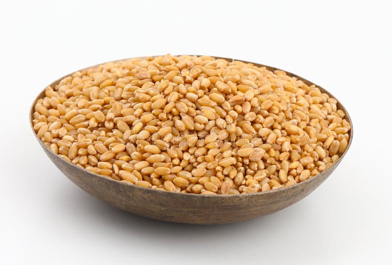 Wheat seeds stock photo. Image of healthy, bitter, closeup - 94349780