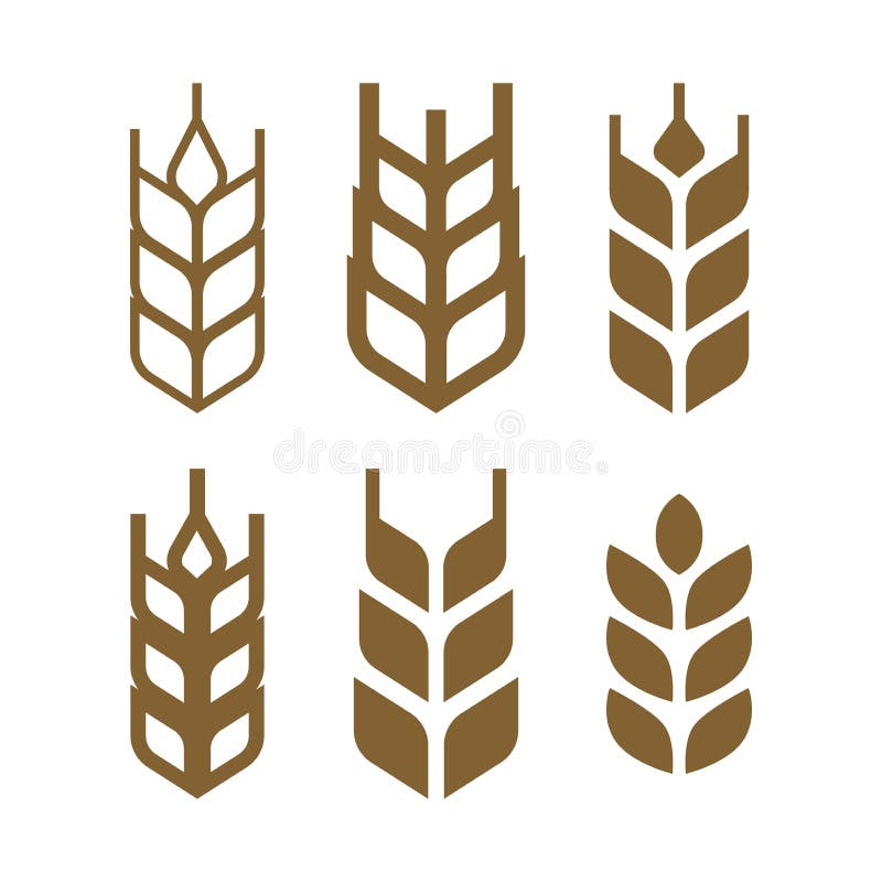 Wheat Set of Icons, Wheat Grain Symbols, Barley Icon Set Stock Vector ...