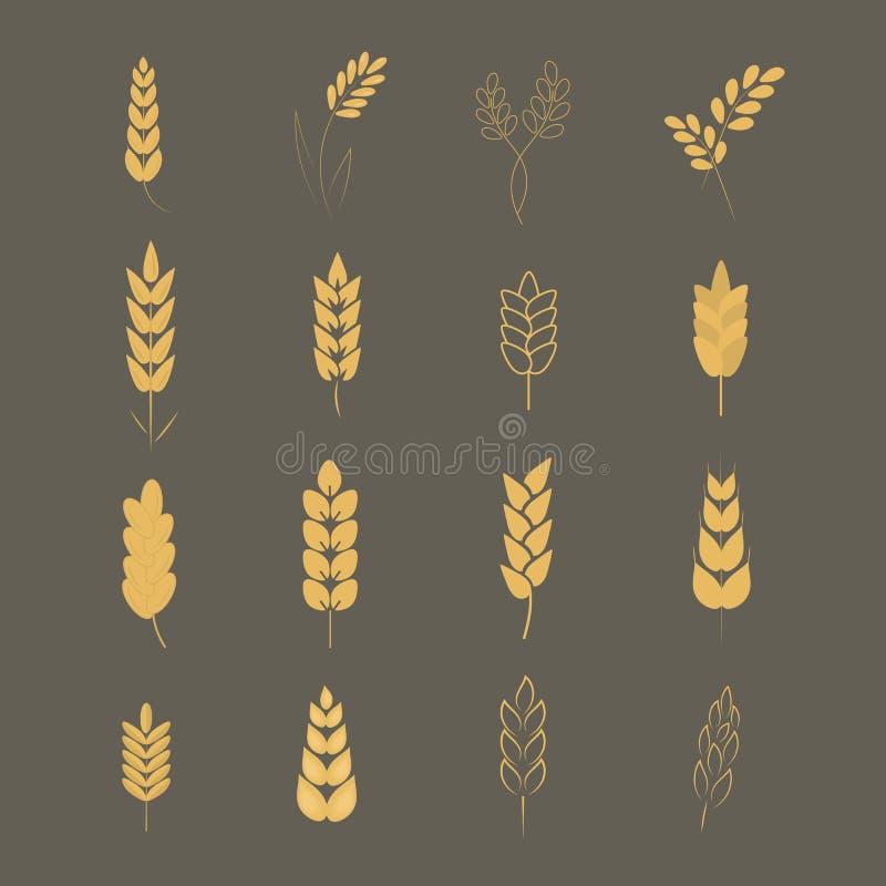Wheat Simple Flat Illustration Icon Collection Stock Vector ...