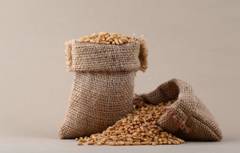 Wheat in small sack stock image. Image of grain, color - 106546225
