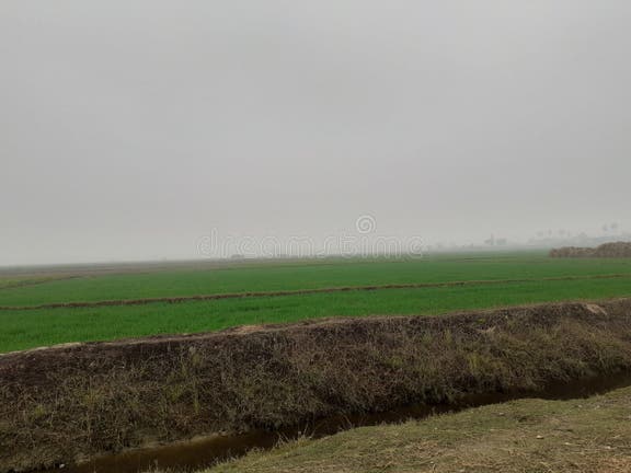 Wheat Sowing Area so Nice Pic Stock Photo - Image of wheat, sowing ...