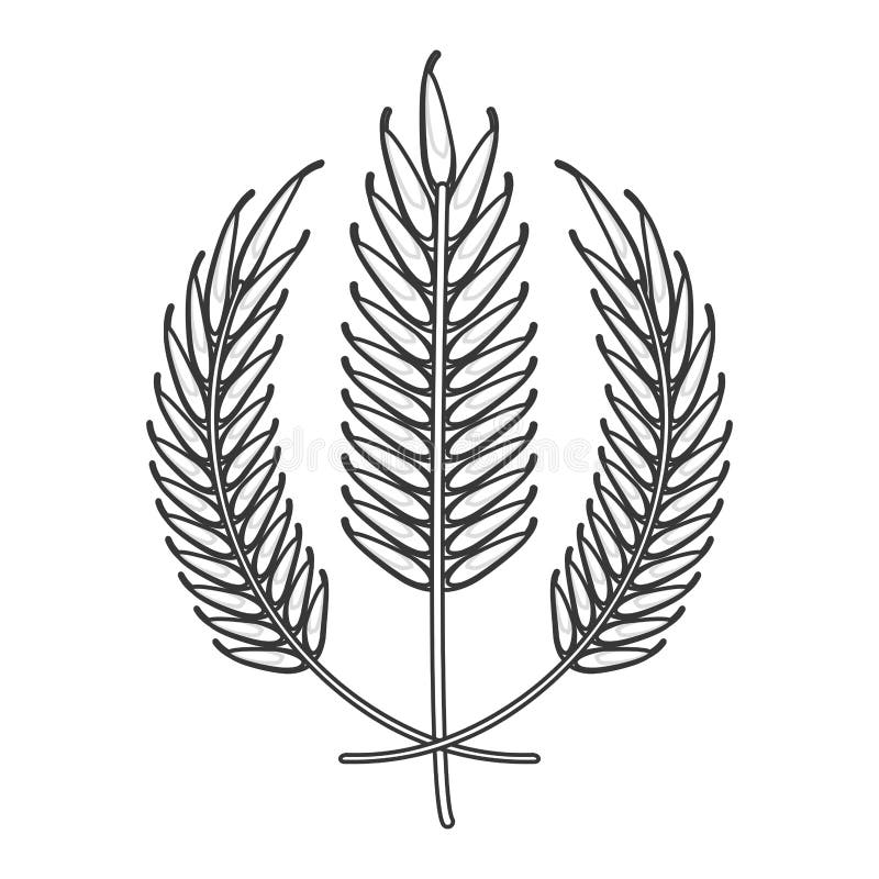 Wheat spike icon design stock illustration. Illustration of element ...