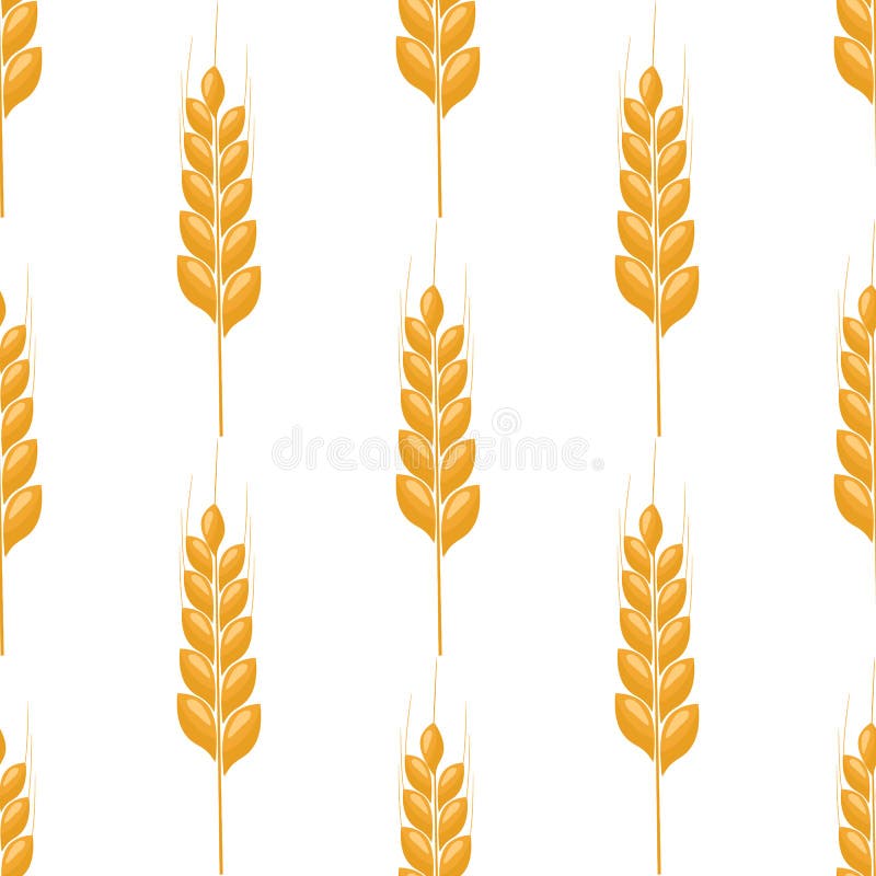Wheat Spike Seamless Background. Organic Ear Grain Textured Pattern ...