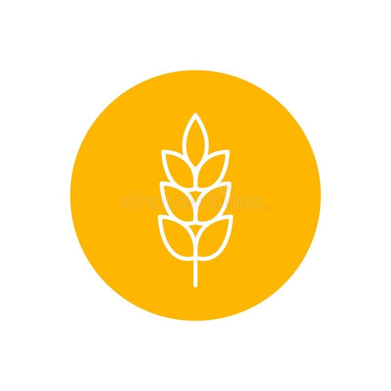 Wheat Spike Vector Icon Isolated on Circle Background, Grain Ear Icon ...