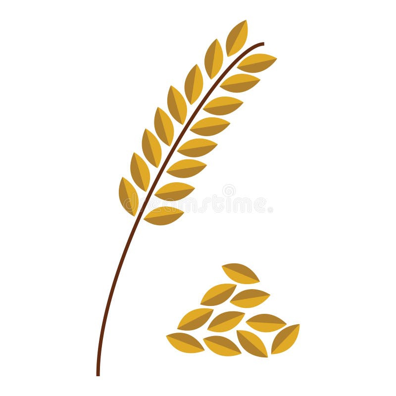 Wheat Spike on the White Background Stock Vector - Illustration of ...