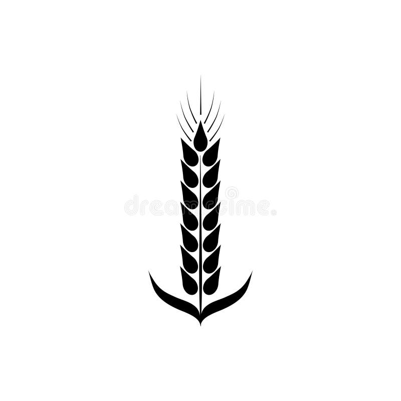 Wheat Spikelets Line Icon. Wheat Farm Symbol. Liner Style Stock Vector ...