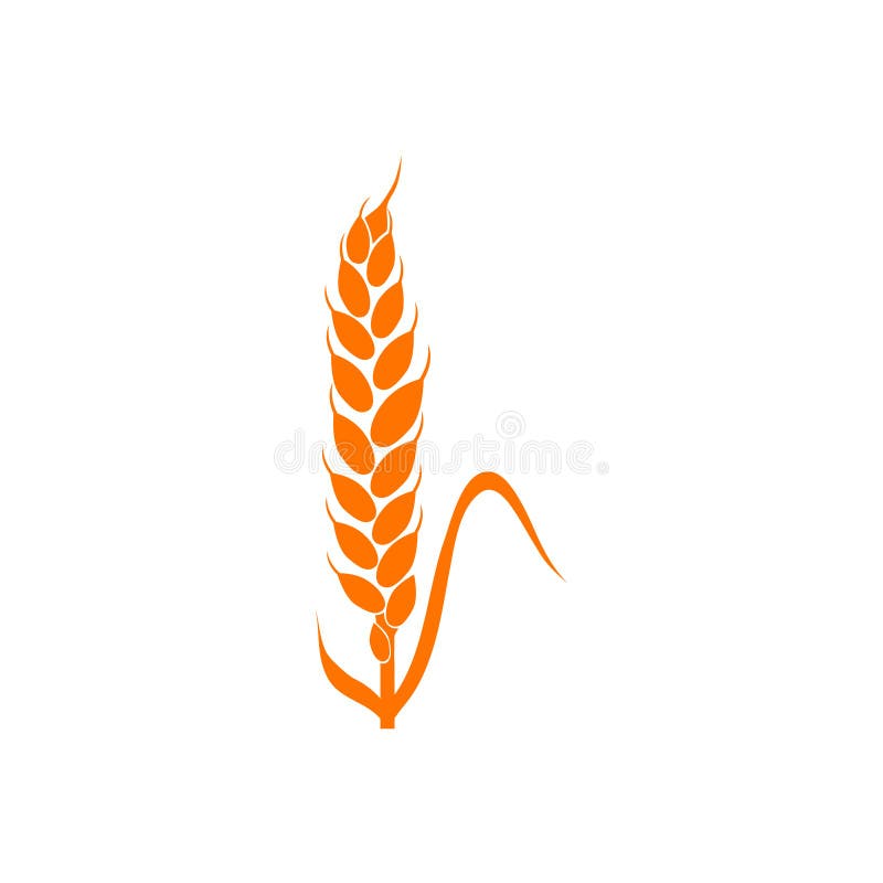 Wheat Spikelets Line Icon. Wheat Farm Symbol. Liner Style Stock Vector ...