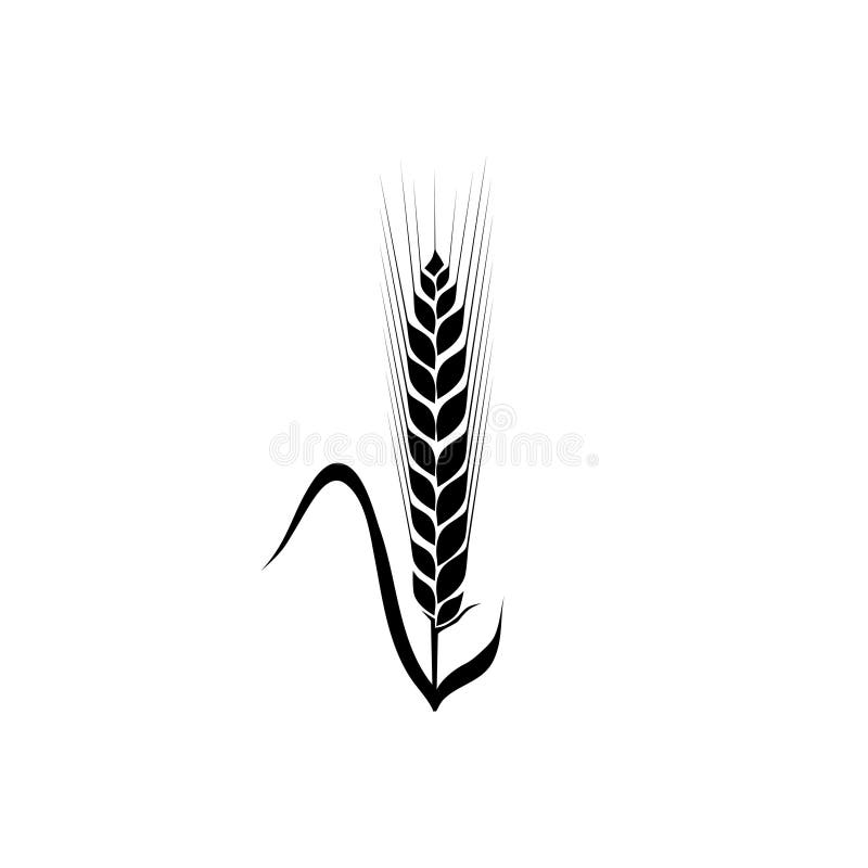 Wheat Spikelets Line Icon. Wheat Farm Symbol. Liner Style Stock Vector ...
