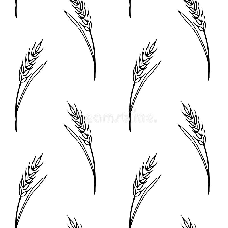 Wheat Spikelets, Vector Seamless Pattern. Black Outline Drawn in Sketch ...