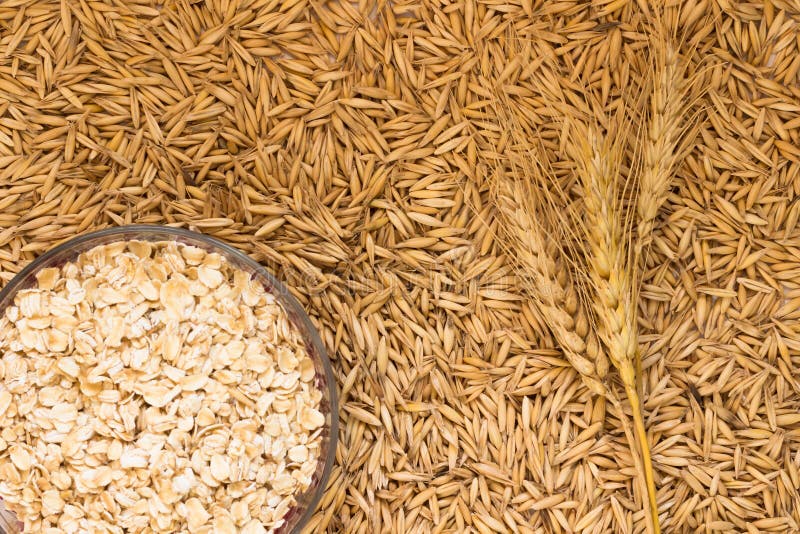 Wheat; Sprig Wheat and Ground Oats Stock Image - Image of field, ripe ...