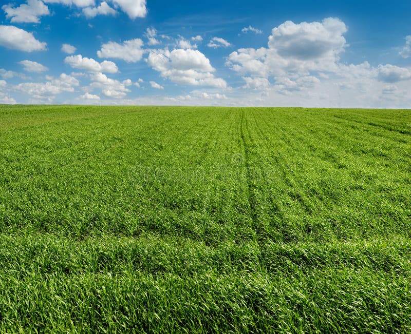 Field with Hill at My Village Stock Photo - Image of grassland, soil ...