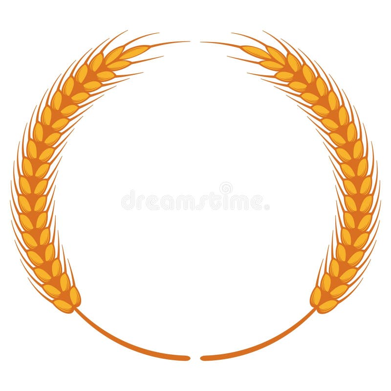 2 Wheat Stalks that Form a Circle Frame Stock Vector - Illustration of ...