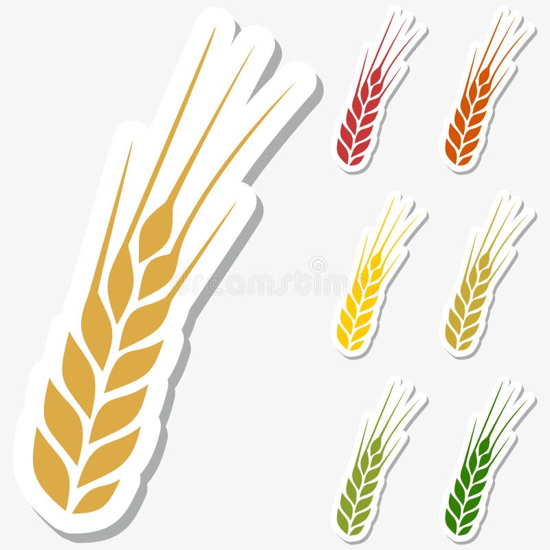 Wheat sticker logo set stock vector. Illustration of mineral - 83533802