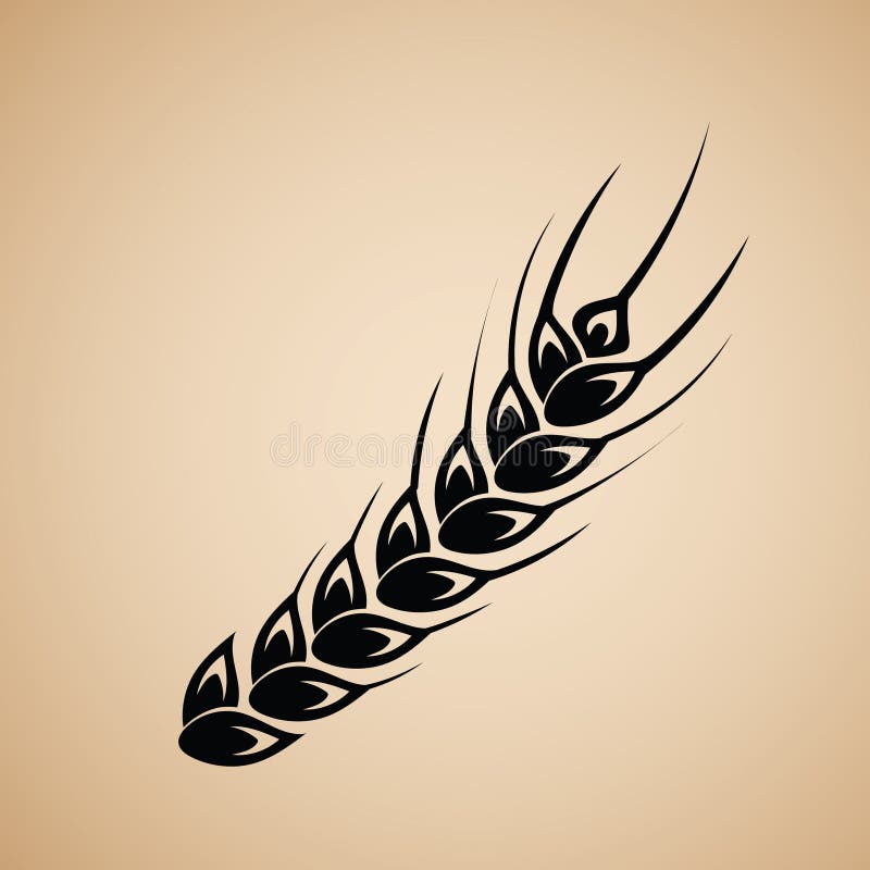 Strand Wheat Stock Illustrations – 38 Strand Wheat Stock Illustrations ...