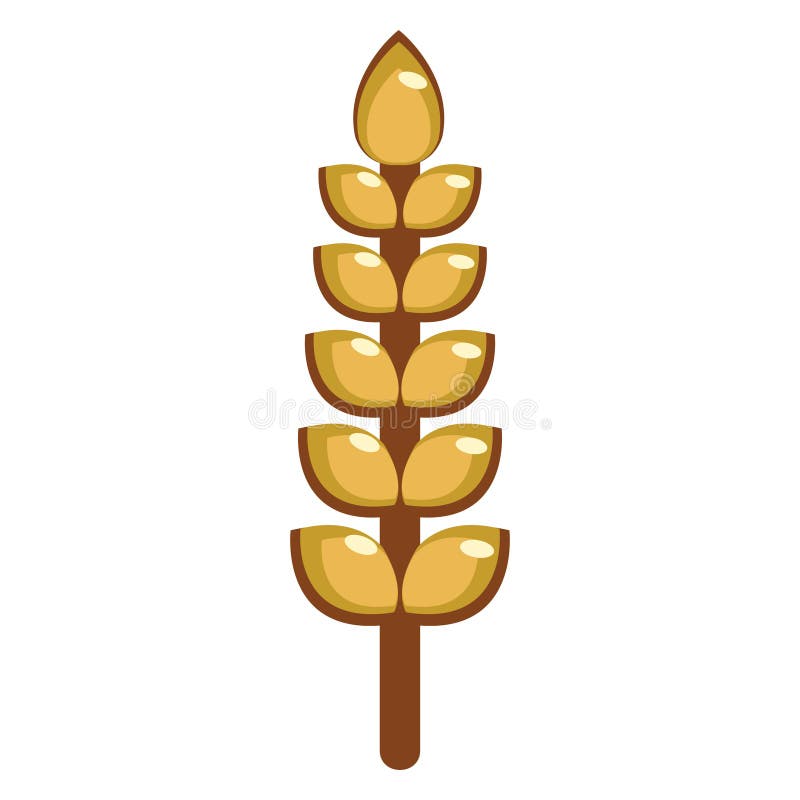 Strand Wheat Stock Illustrations – 42 Strand Wheat Stock Illustrations ...