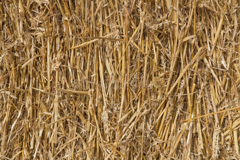619,724 Straw Photos - Free & Royalty-Free Stock Photos from Dreamstime