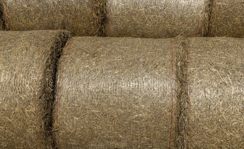 Wheat Straw Collected in Stacks after Grain Harvest Stock Image - Image ...