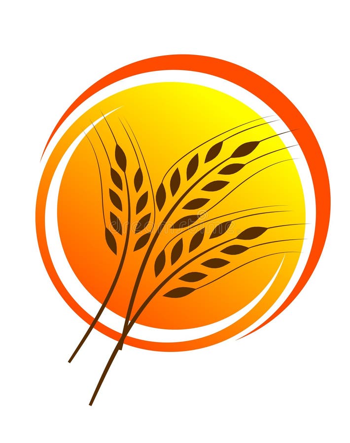 Wheat icon stock vector. Illustration of crop, background - 15489210