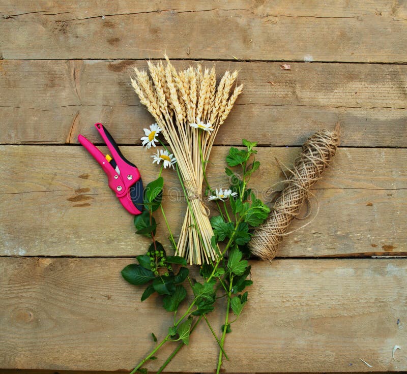 Wheat, String, Garden Pruner and Daisies on a Wooden Background Stock ...