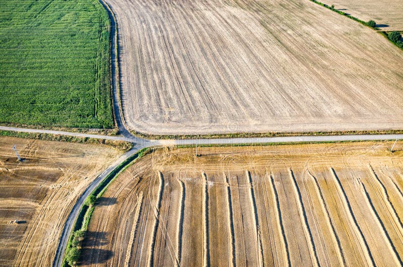 Wheat stubble stock photo. Image of grain, landscape - 60007212