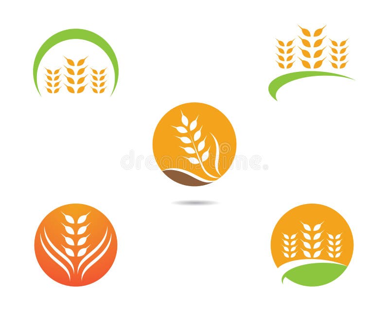 Wheat symbol illustration stock vector. Illustration of wheat - 144262654