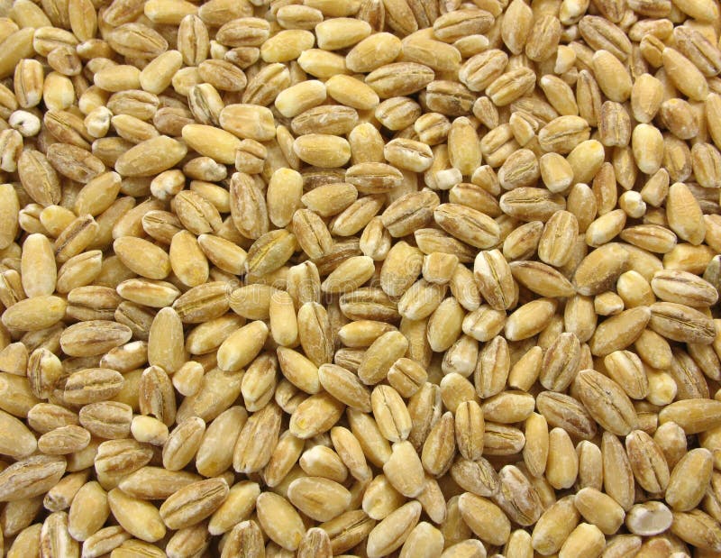 1,400+ Wheat texture Free Stock Photos - StockFreeImages