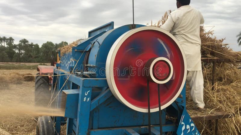 27 April 2024 Wheat Thresher Machine Working Punjab Pakistan Stock ...