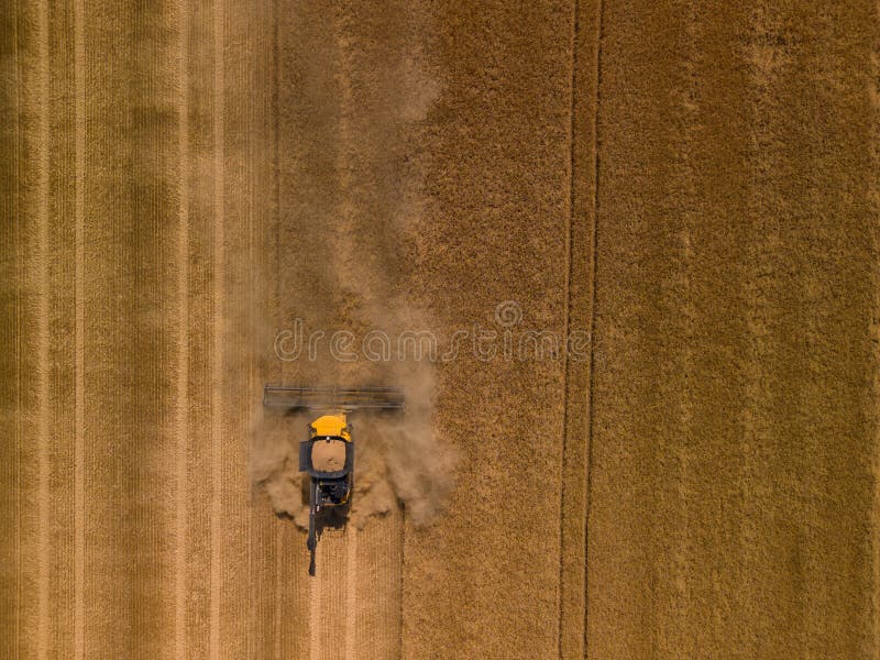 Wheat Threshing Combine in the Field. Advanced Technology for ...