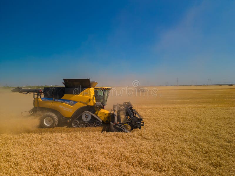 Wheat Threshing Combine in the Field. Advanced Technology for ...