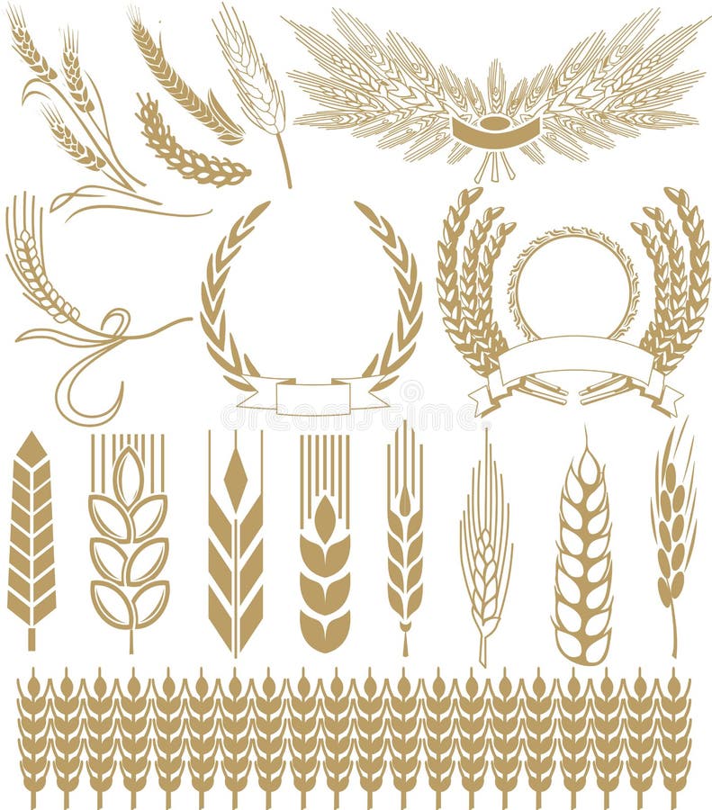 Wheat Drawing Stock Illustrations – 33,521 Wheat Drawing Stock ...