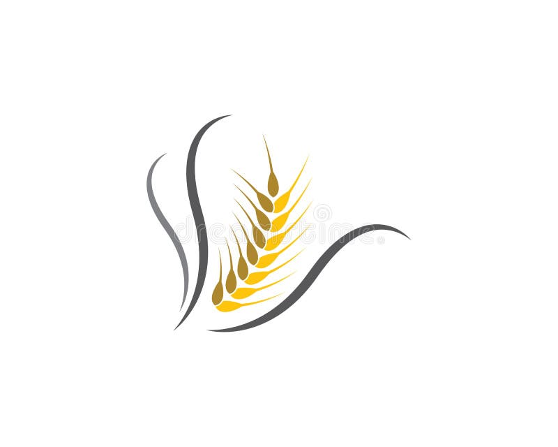 Wheat vector icon stock vector. Illustration of food - 165258133