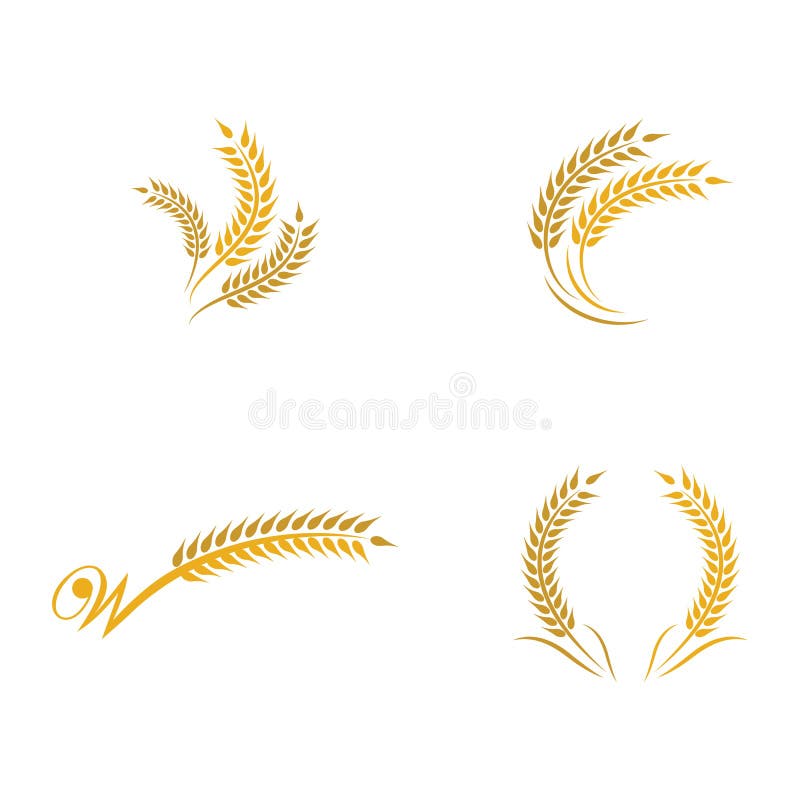 Wheat vector icon stock vector. Illustration of vector - 150959953