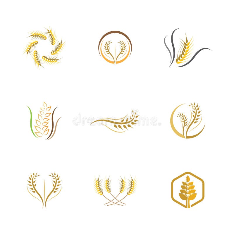 Wheat vector icon stock vector. Illustration of healthy - 175003850