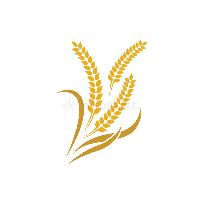 Wheat vector icon stock vector. Illustration of vector - 178204447